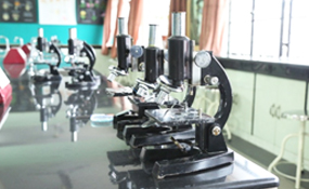 St. Joseph’s Academy